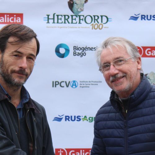 Asociación Argentina Criadores de Hereford (A.A.C.H.) – Sitio web de la ...